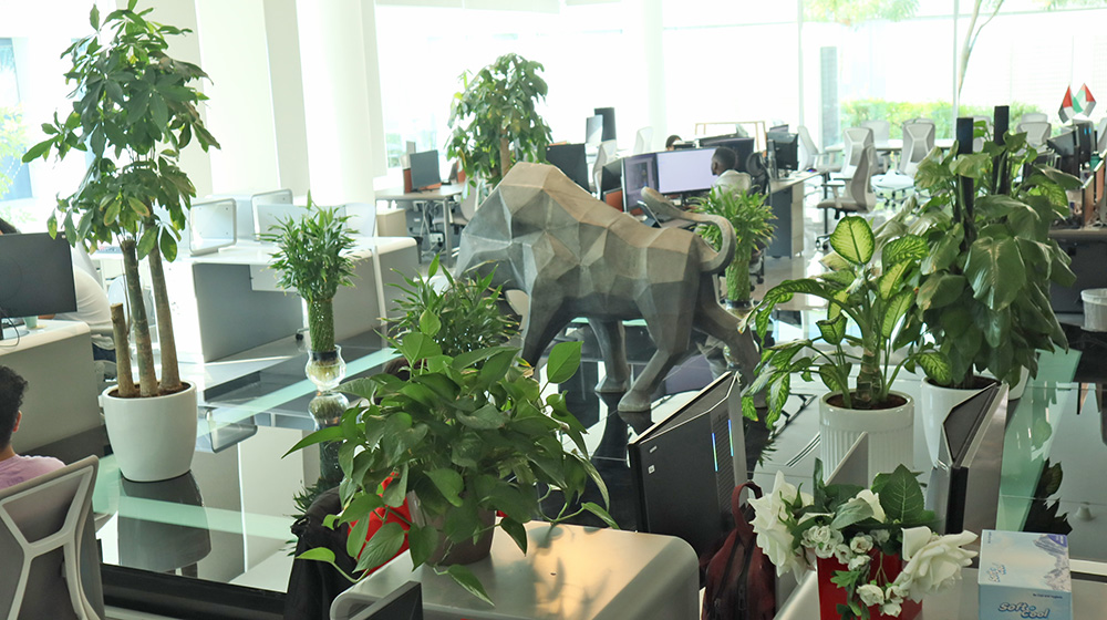 Sawa Group: Born in MENA Focus on MENA